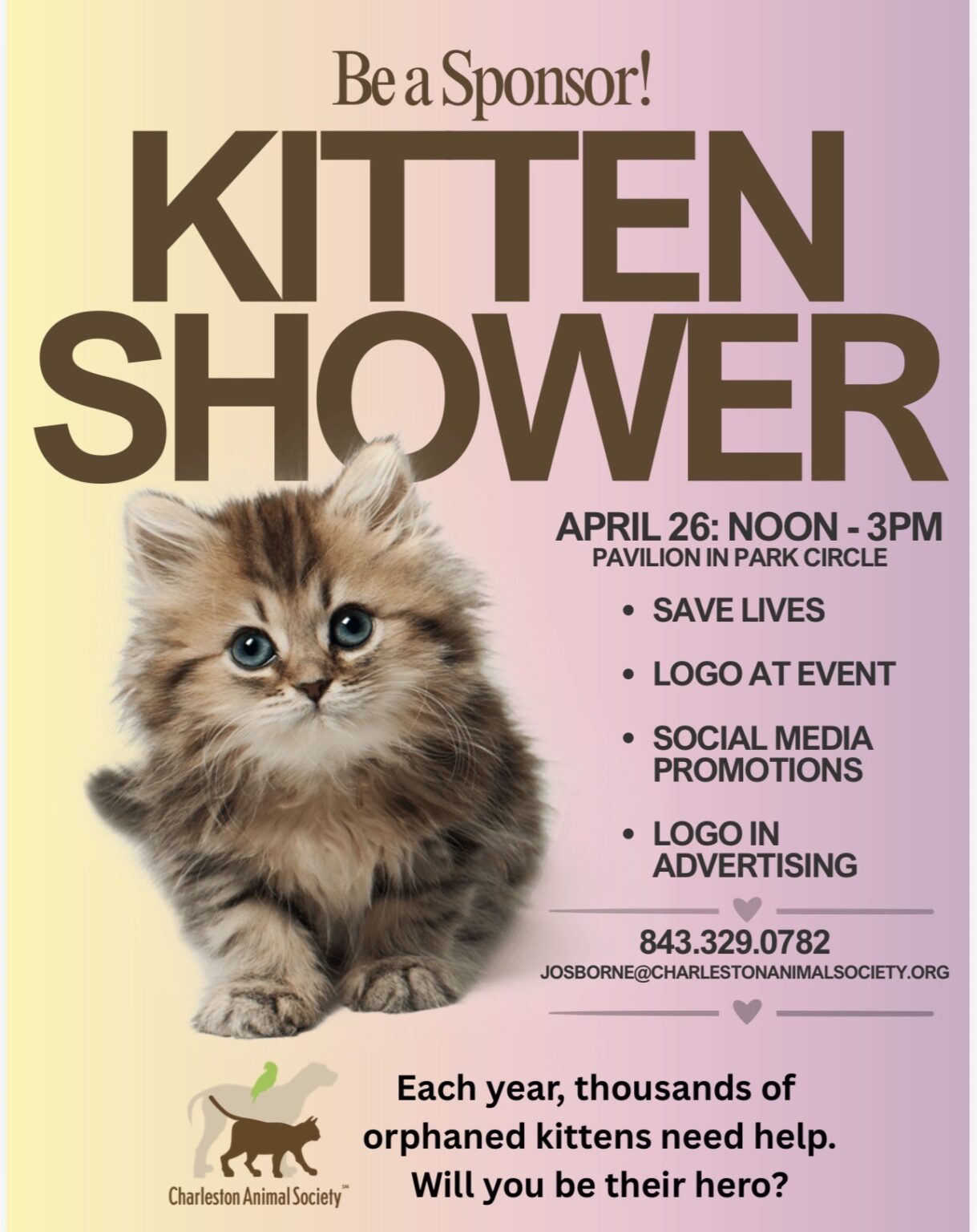 4/26 – Charleston Animal Society’s ‘Kitten Shower’ Event | Mix 95.9